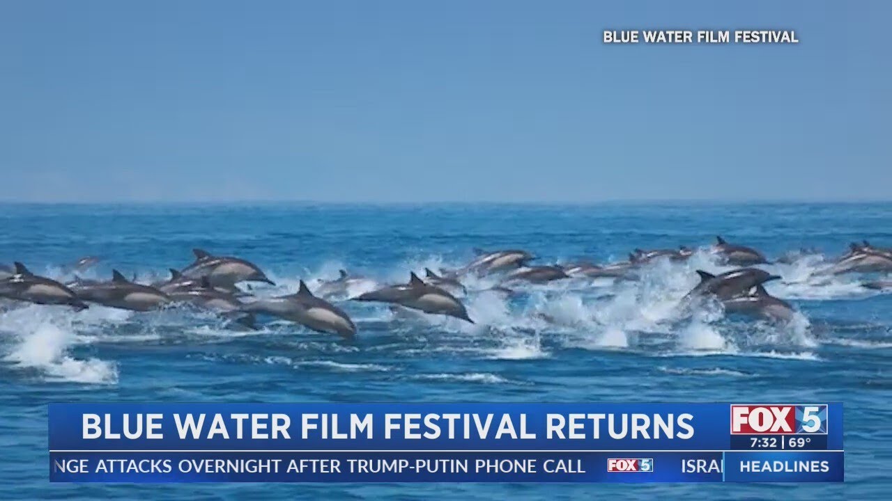 Blue Water Film Festival Returns to San Diego - YouTube