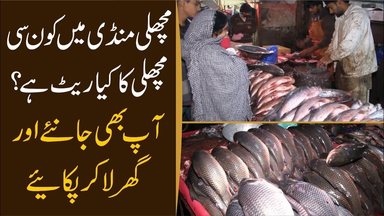 Machli mandi mei konsi machli ka kia rate hai? Aap b janiye btasam ...