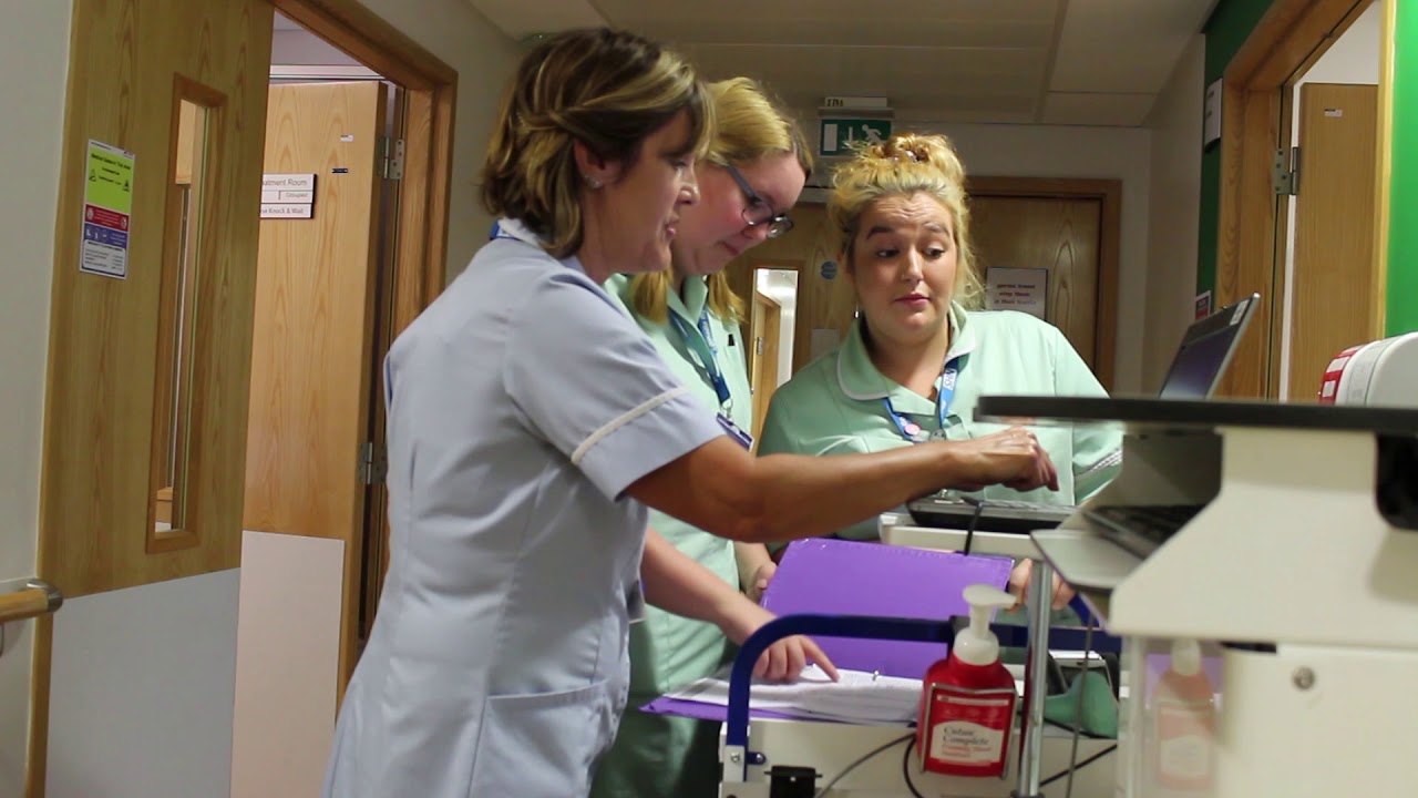 Pride of Plymouth Awards 2018 - Outstanding Teamwork (Clinical) Award - Braunton Ward (UHPNT ...