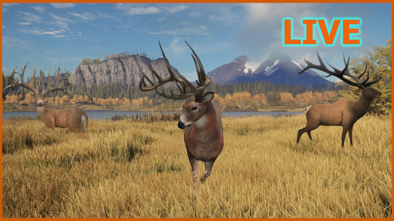 🔴Let's Find Another Diamond LIVE! Call Of The Wild 2023 - YouTube