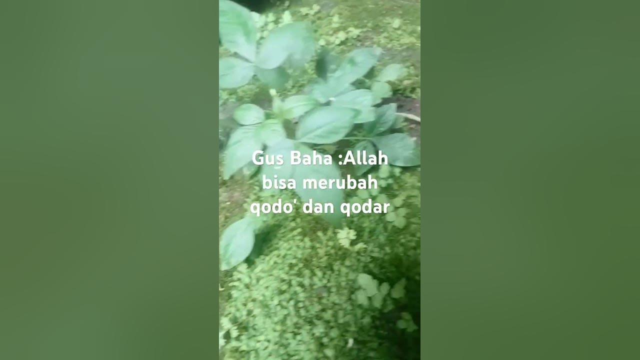 Gus Baha : Allah bisa merubah qodo' dan qodar - YouTube
