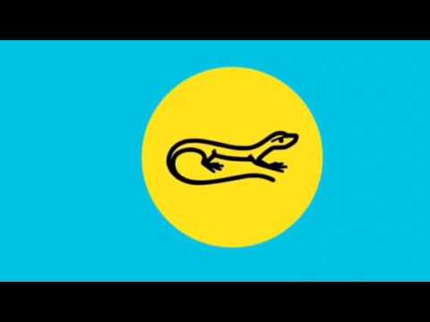 Makaton sign of the week - lizard - YouTube