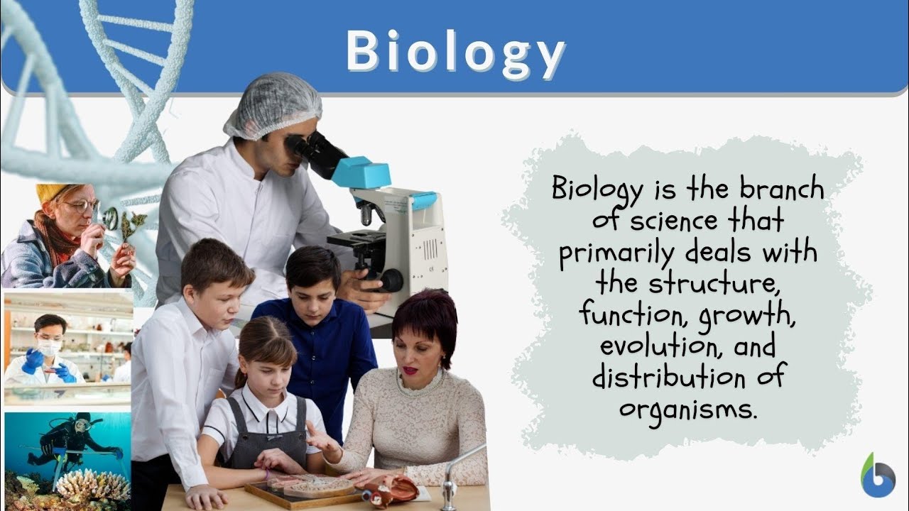 what is biology? Types of biology? - YouTube