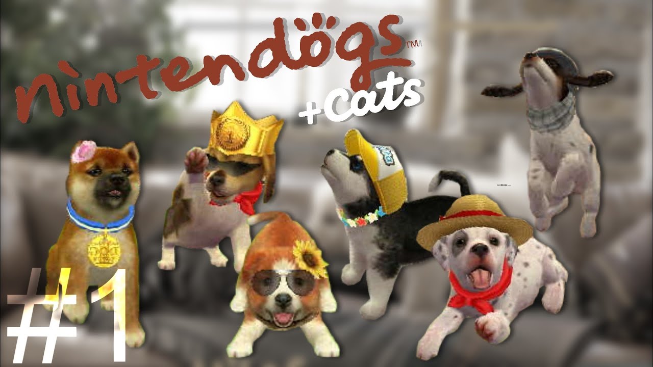 3DS Nintendogs + Cats GR | Gameplay #1 | All my dogs [ITA] - YouTube