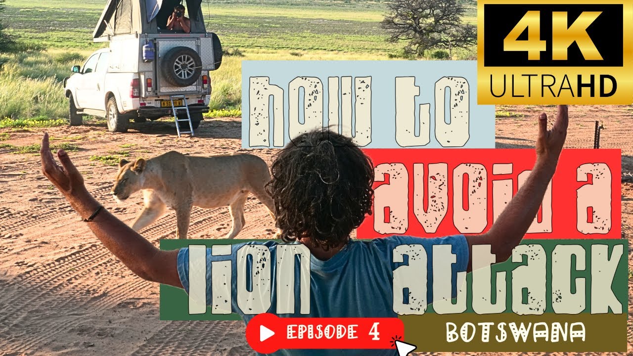 HOW TO AVOID GETTING ATTACKED BY LIONS WHILE CAMPING | Bush Tutorial ...