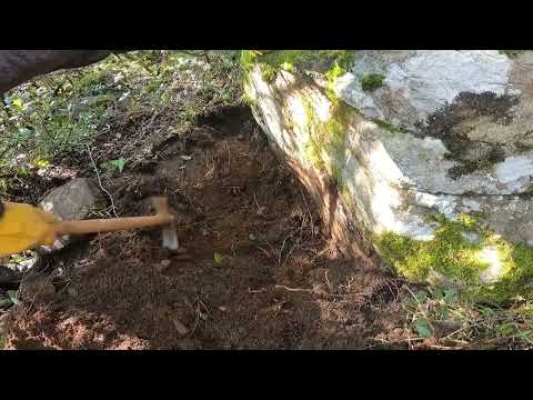 Lanetli Roma İmparatorluğu Muhteşem Define Paraları Bulduk!