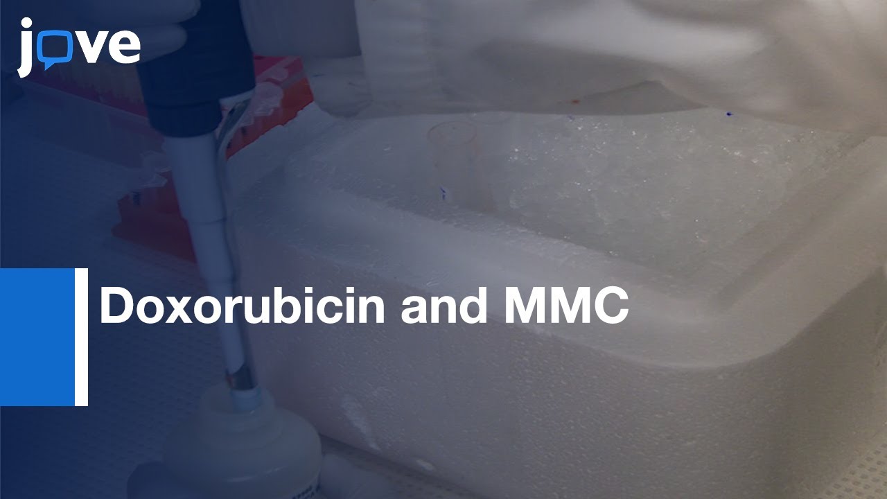 Doxorubicin and MMC Investigation in Nanoparticels Drug Delivery ...