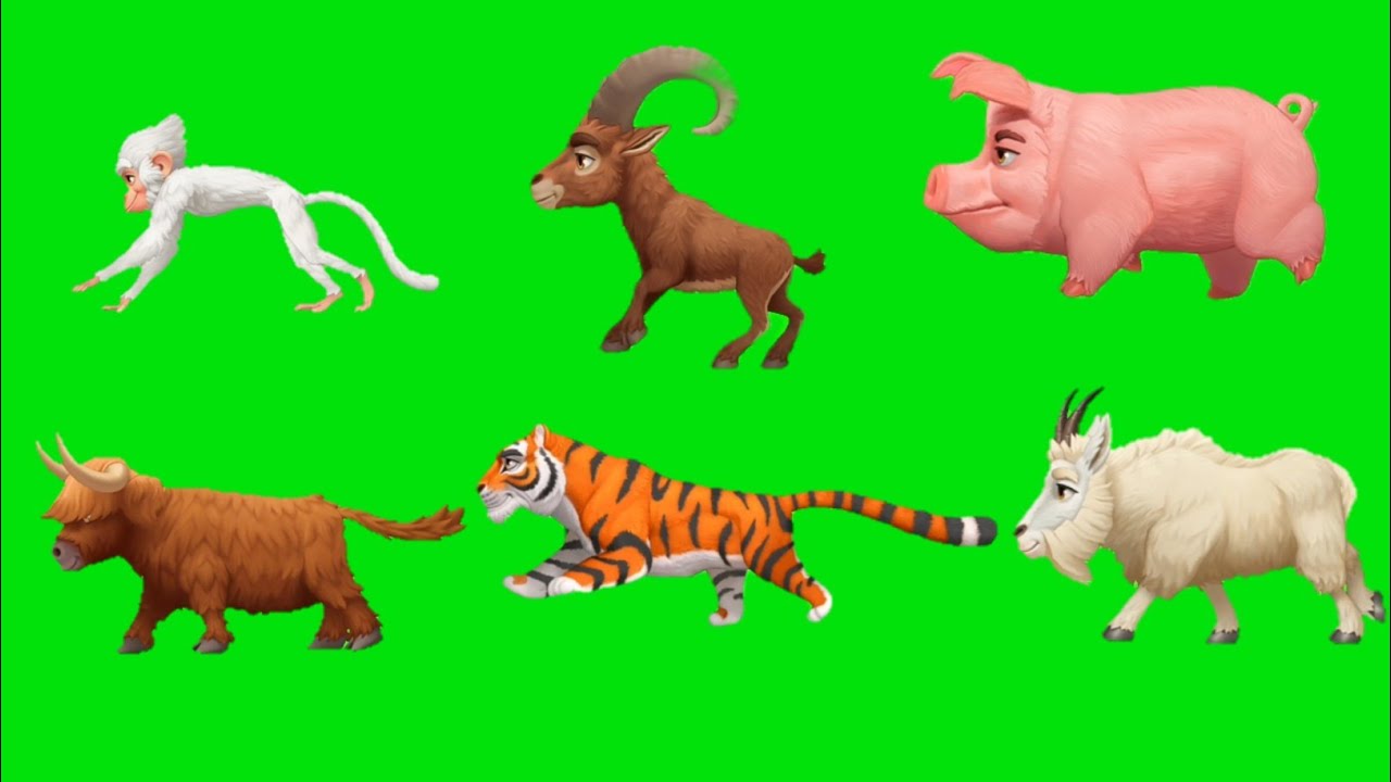 animal green screen running video || green screen #animalvideos # ...