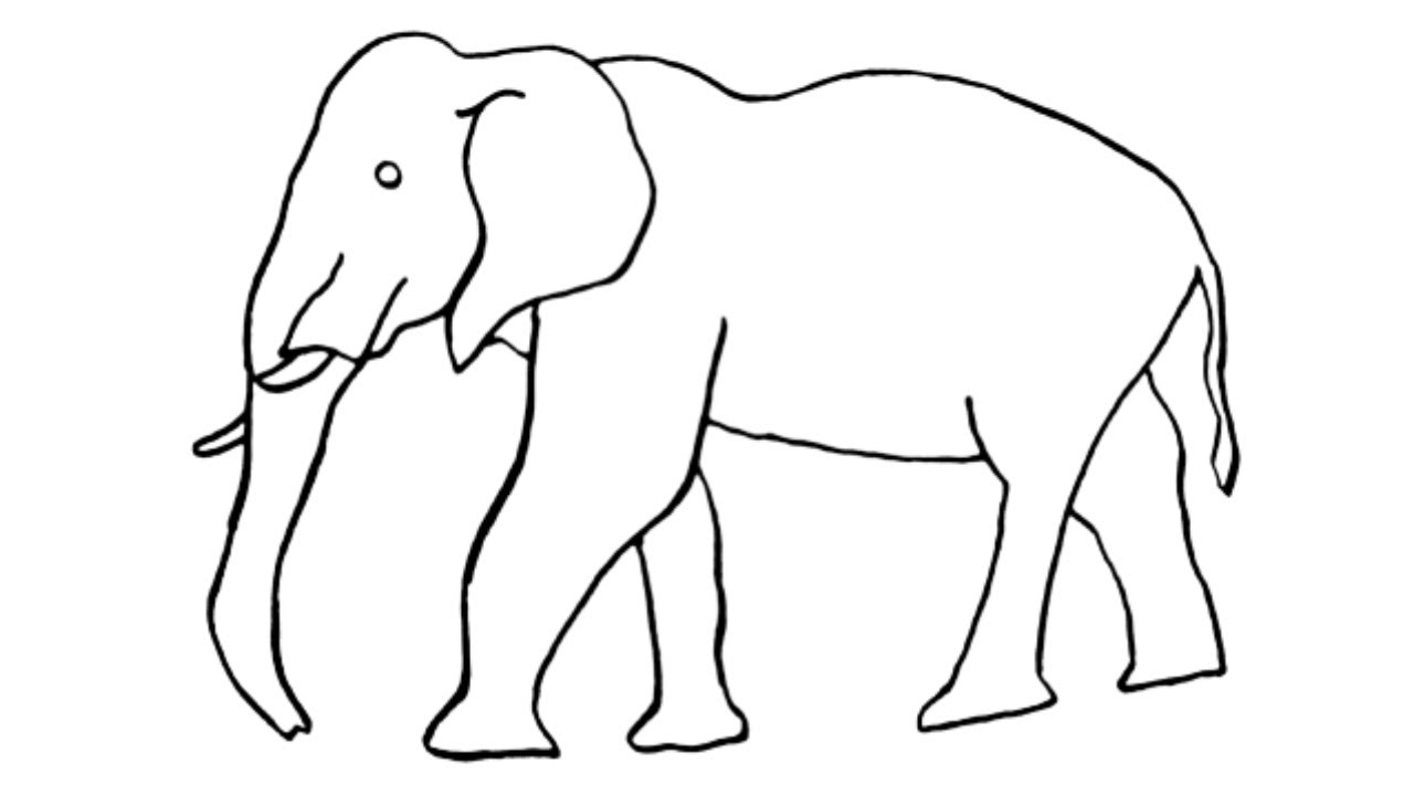 How to draw African Elephant - Step by Step Easily - YouTube