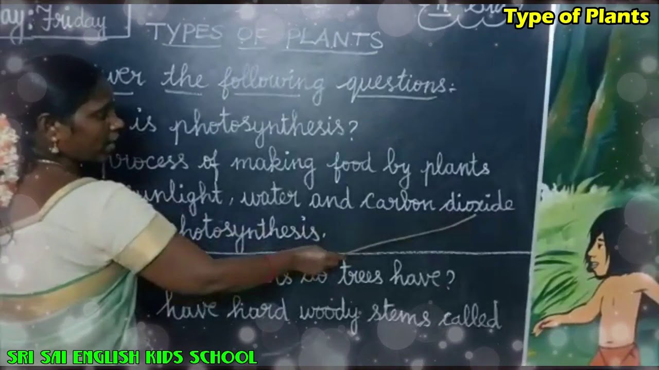 2nd-std-types-of-plants-class-5-youtube