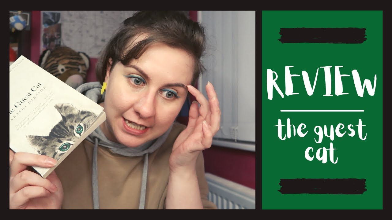 REVIEW | the guest cat - YouTube