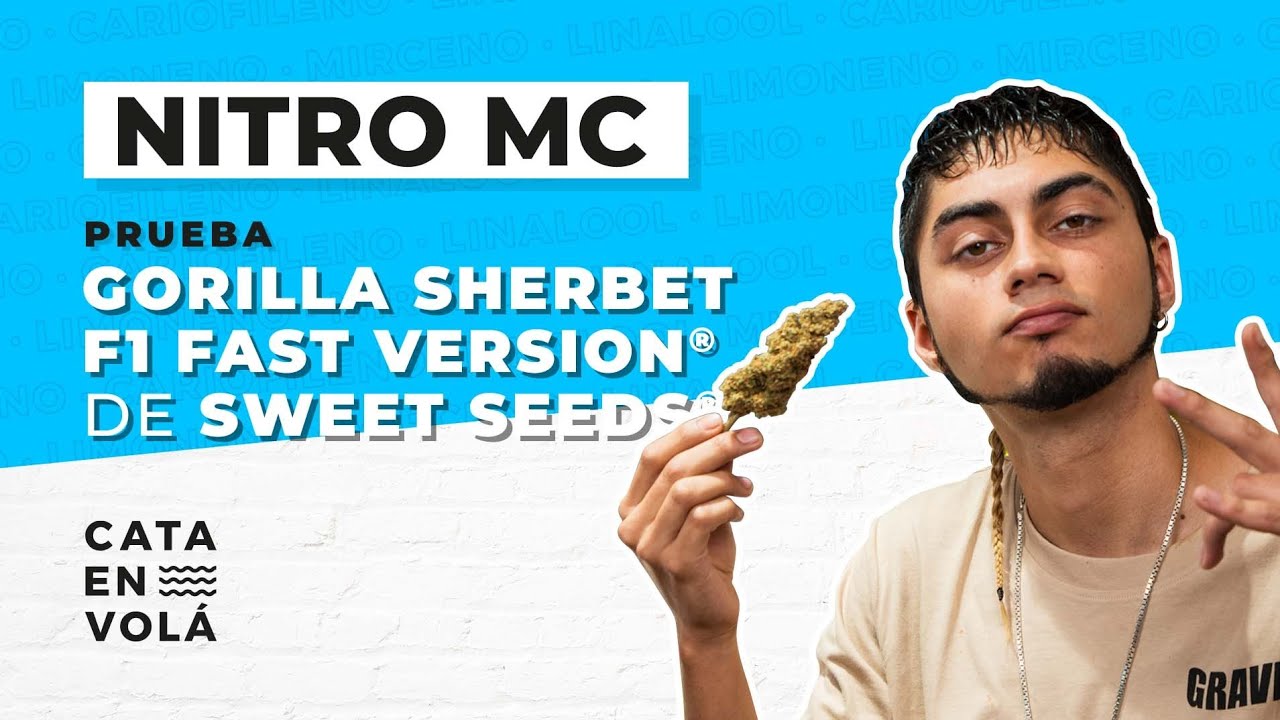 NITRO MC PRUEBA UN P0RR0 EN CATA EN VOLÁ - YouTube