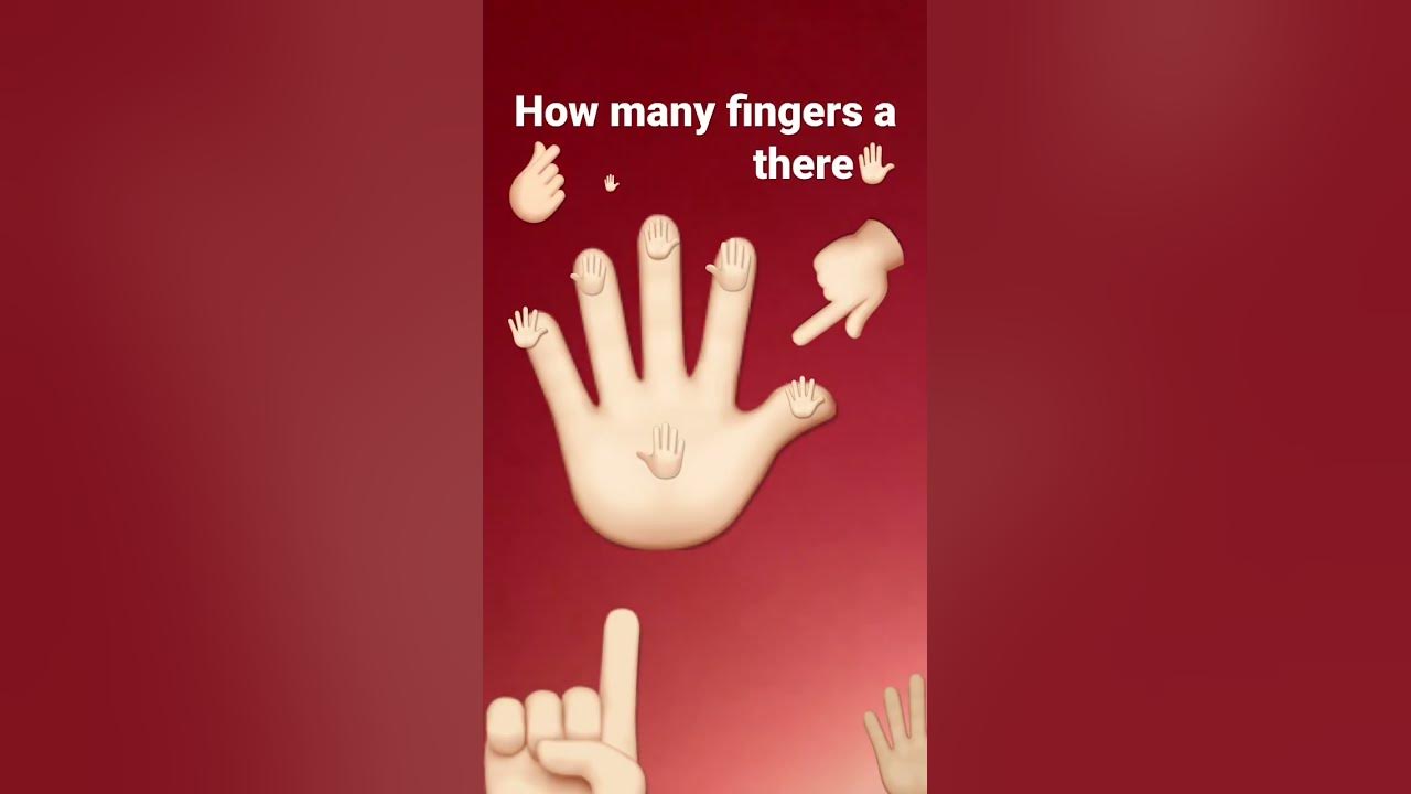 How Many Fingers A There YouTube how-many-fingers-a-there-youtube