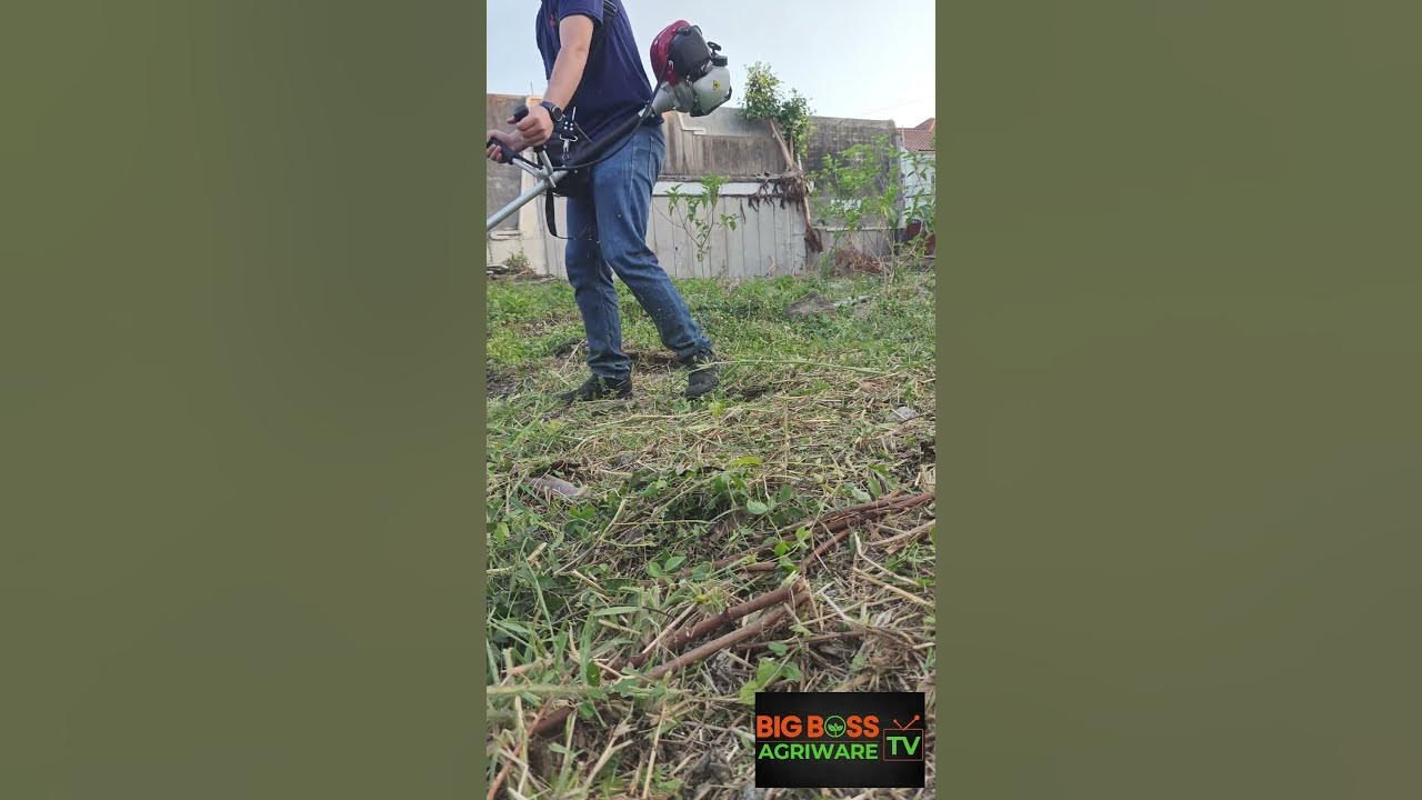 Big Boss Agriware GX50 Grasscutter in action! - YouTube