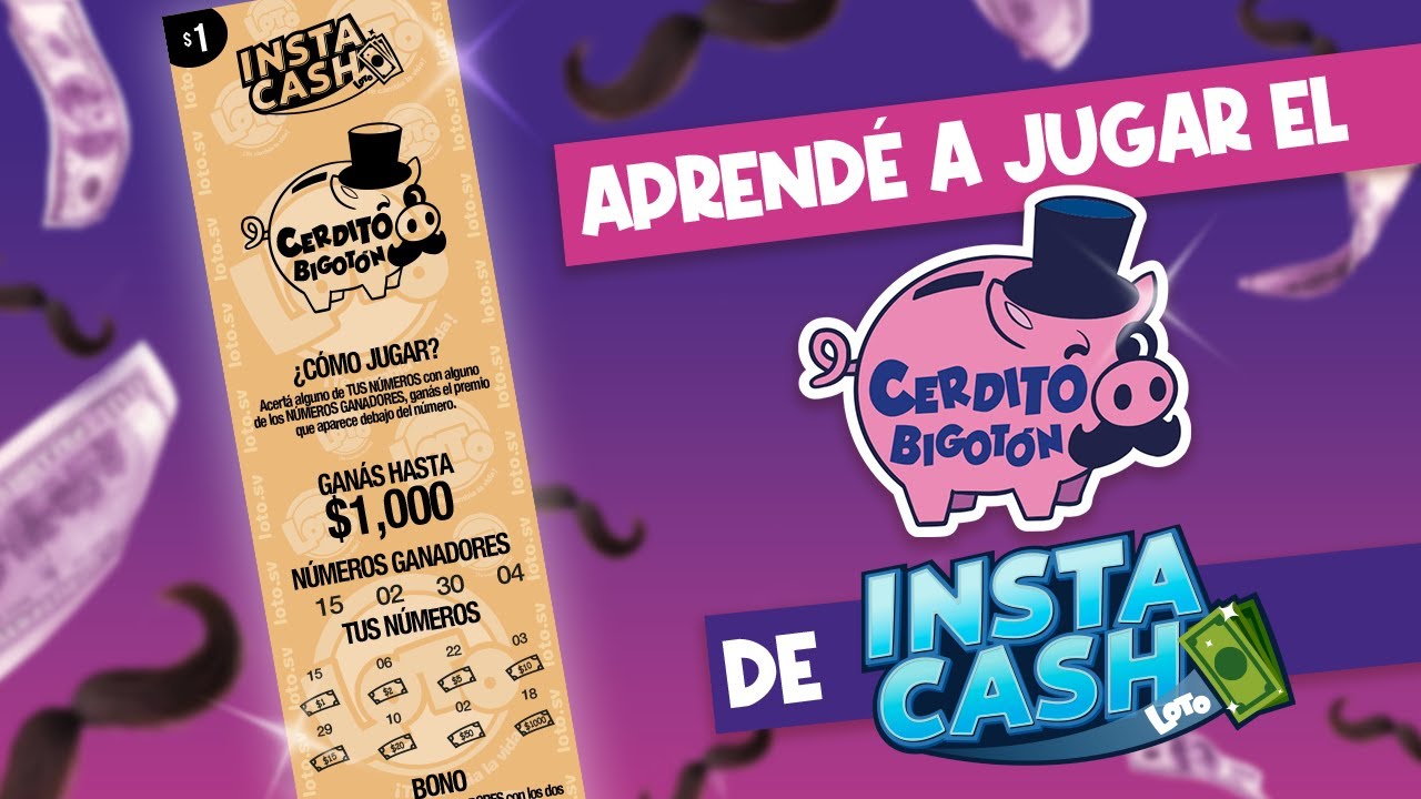 Tutorial | Aprendé a jugar Cerdito Bigotón de InstaCash 🐷 - YouTube