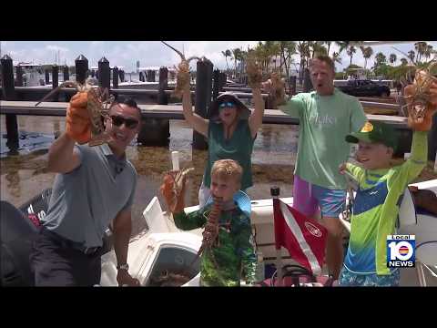 Boaters, divers kick off Florida’s annual spiny lobster mini season
