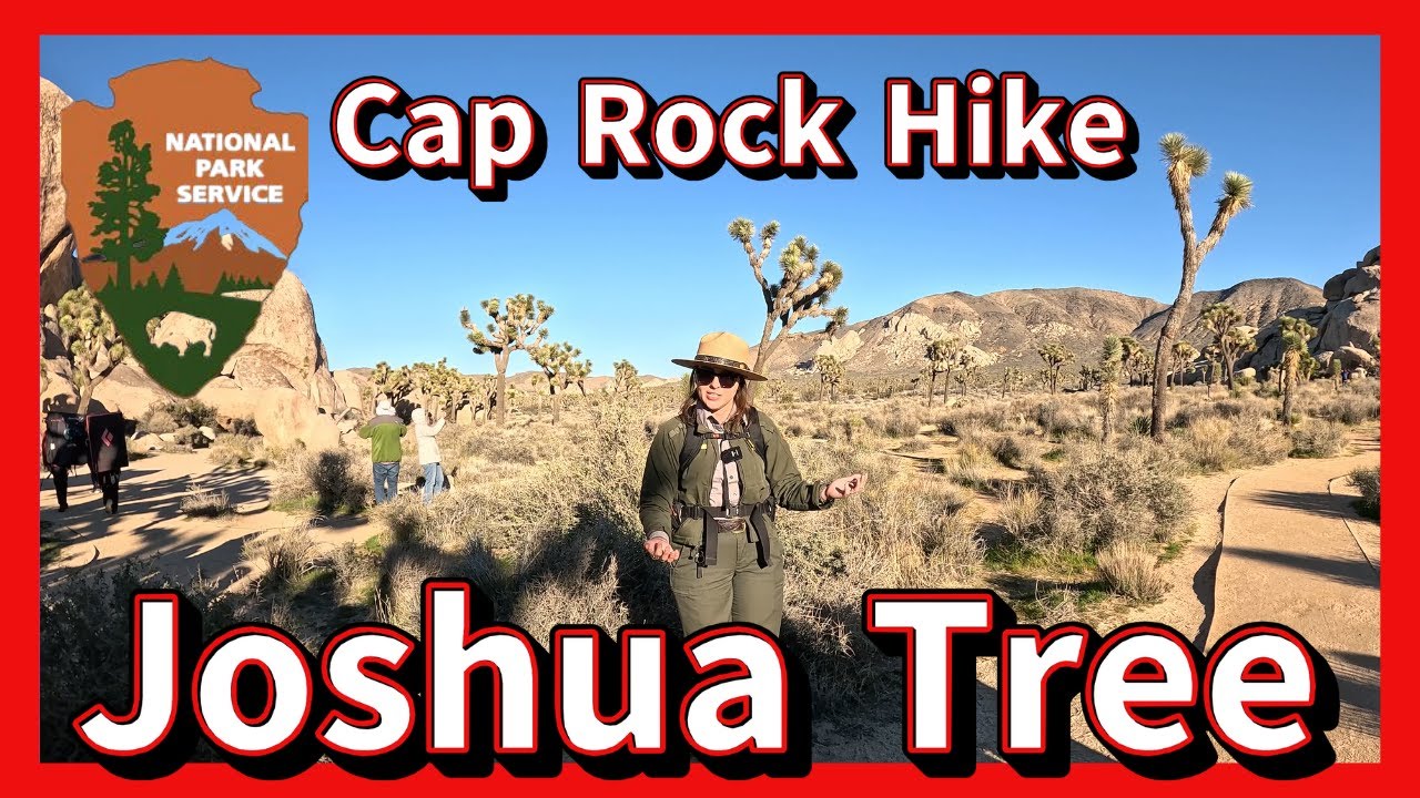 Joshua Tree National Park // Cap Rock Trail Ranger Guided Hike! - YouTube