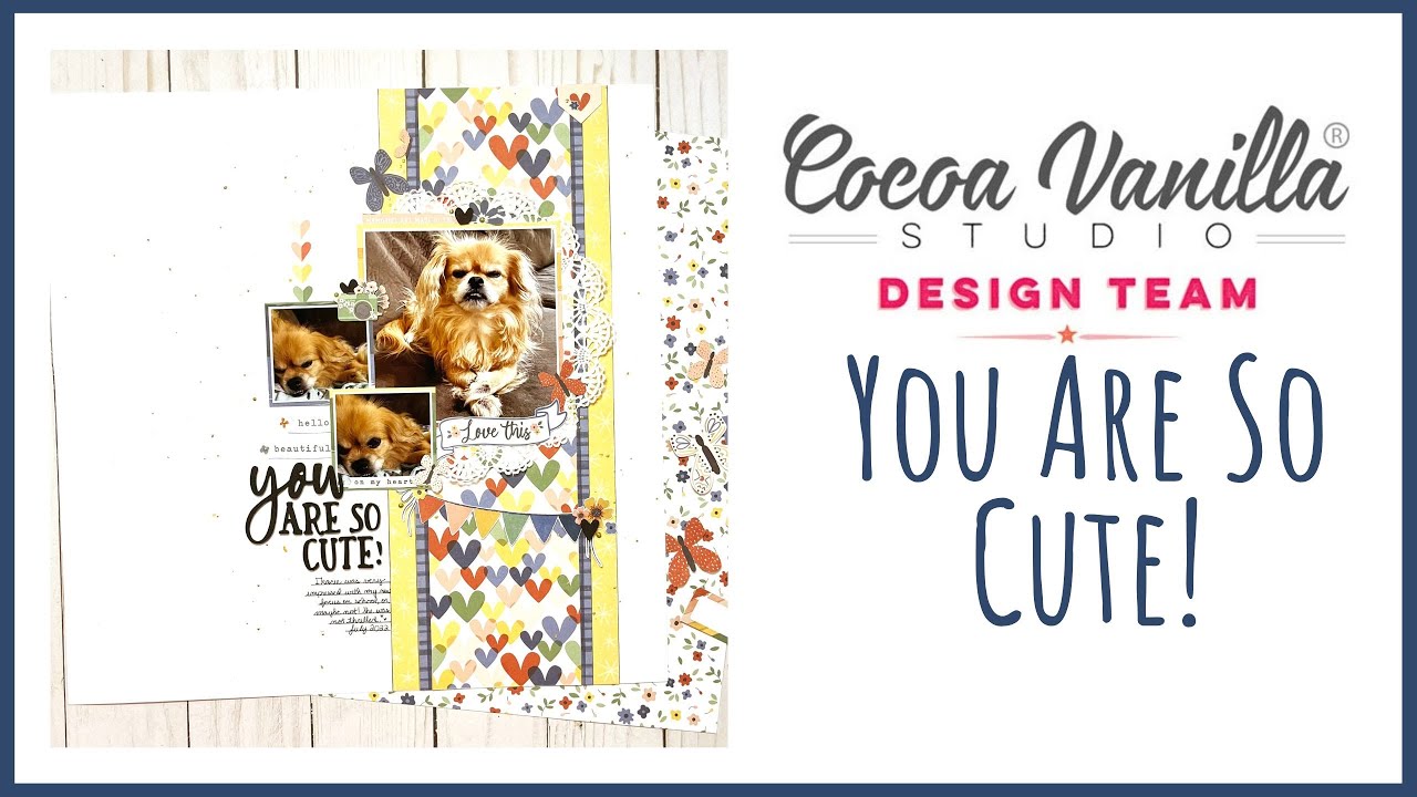 You Are So Cute! | Storyteller Collection | Laura Alberts - YouTube