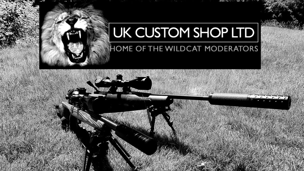 Wildcat Evolution and Panther Moderators. - YouTube