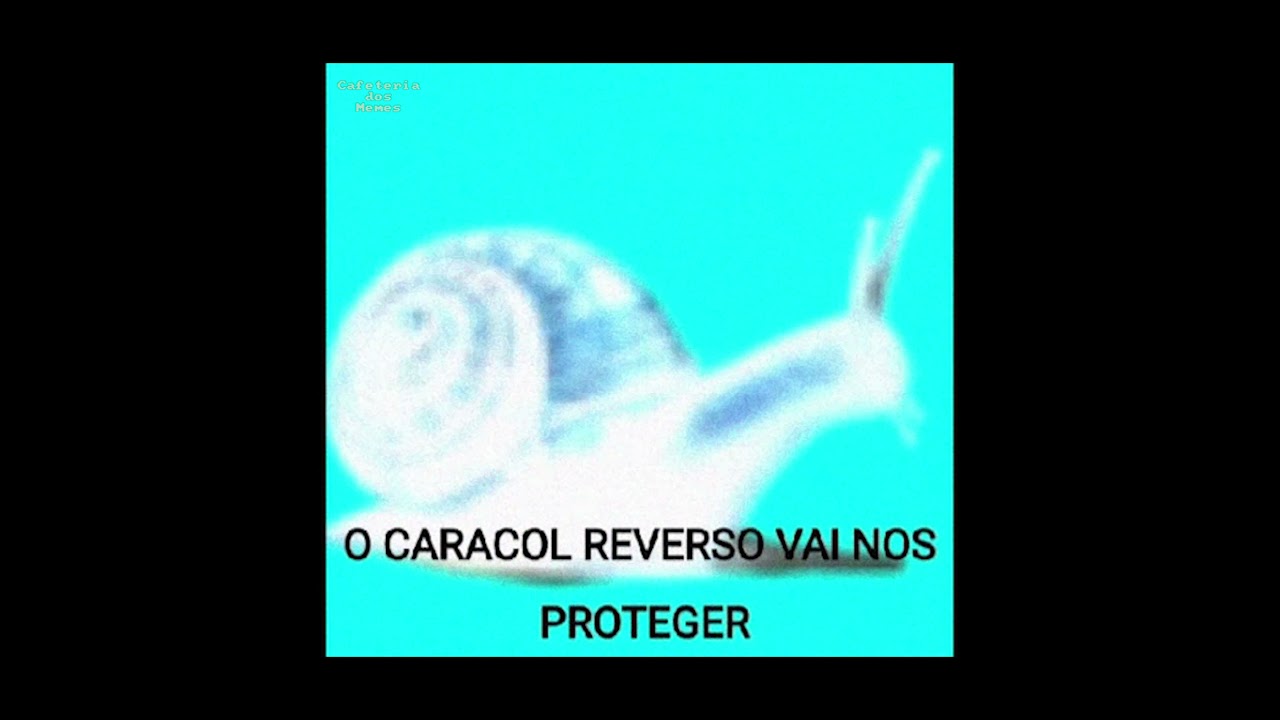 Caracol Reverso | Caracol Imortal - YouTube