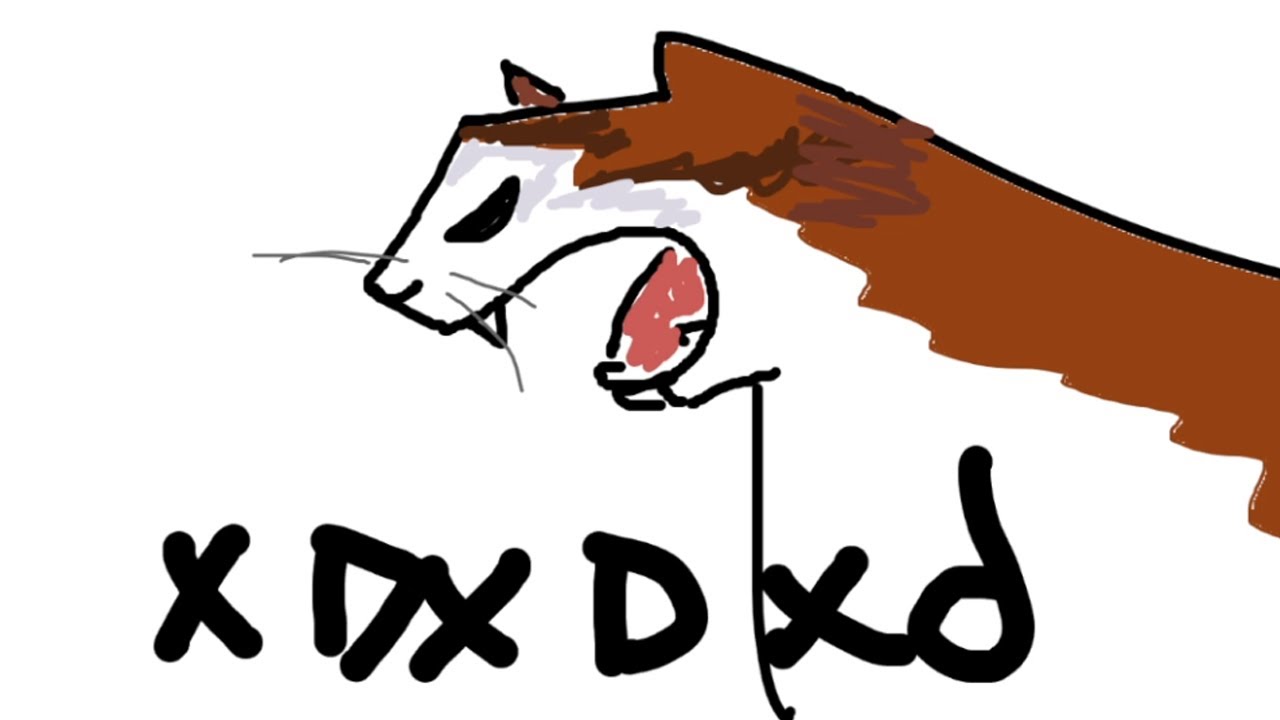 GATO RIENDOSE xddxdd - YouTube