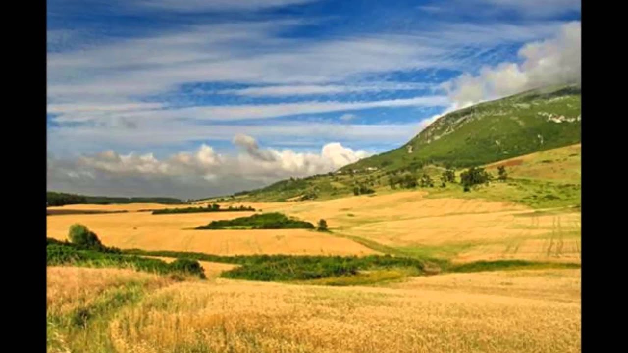 LA SIEGA Y LOS SEGADORES - YouTube