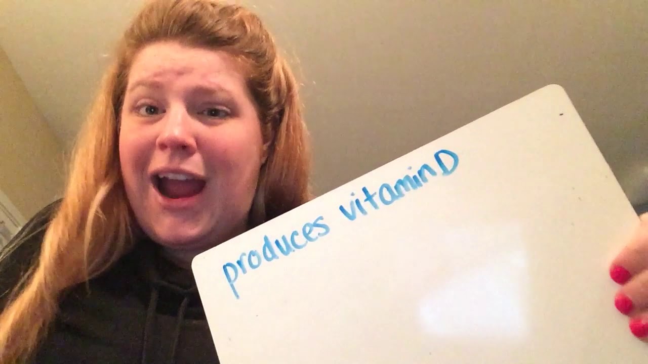 Integumentary System - 7th Grade - YouTube