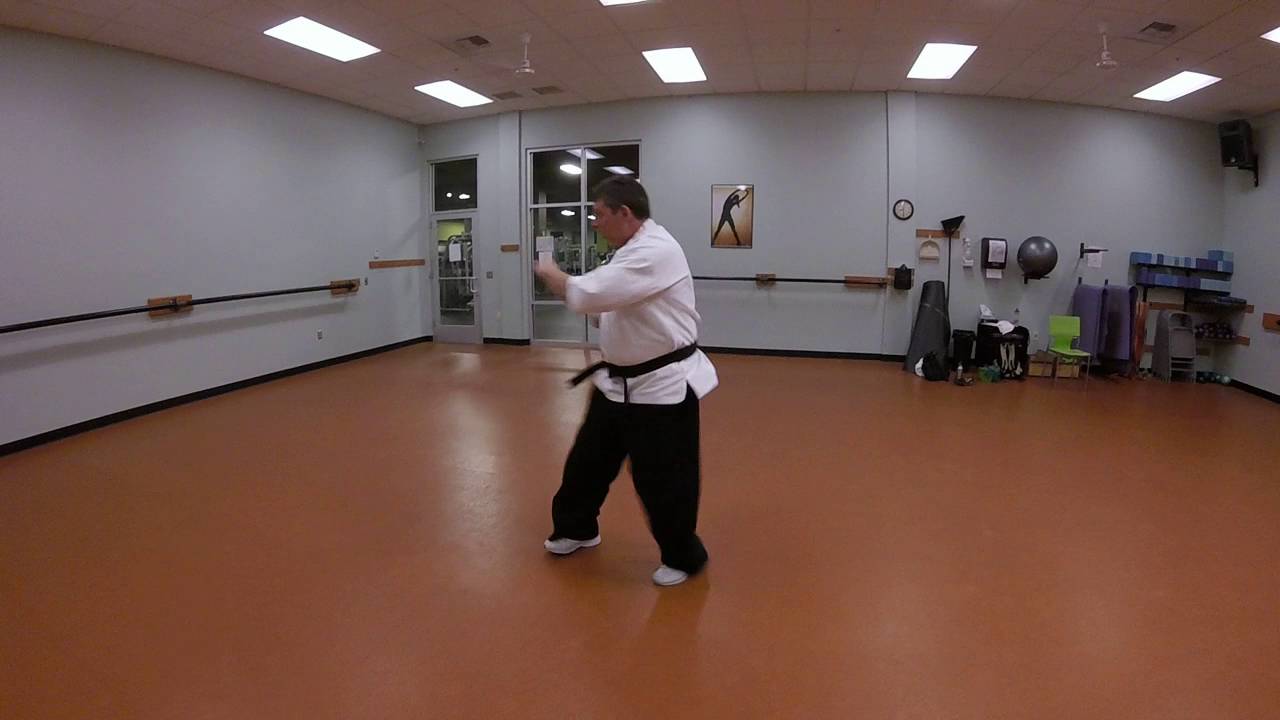 Kamishin-ryu Karate kata Kihon Godan - YouTube