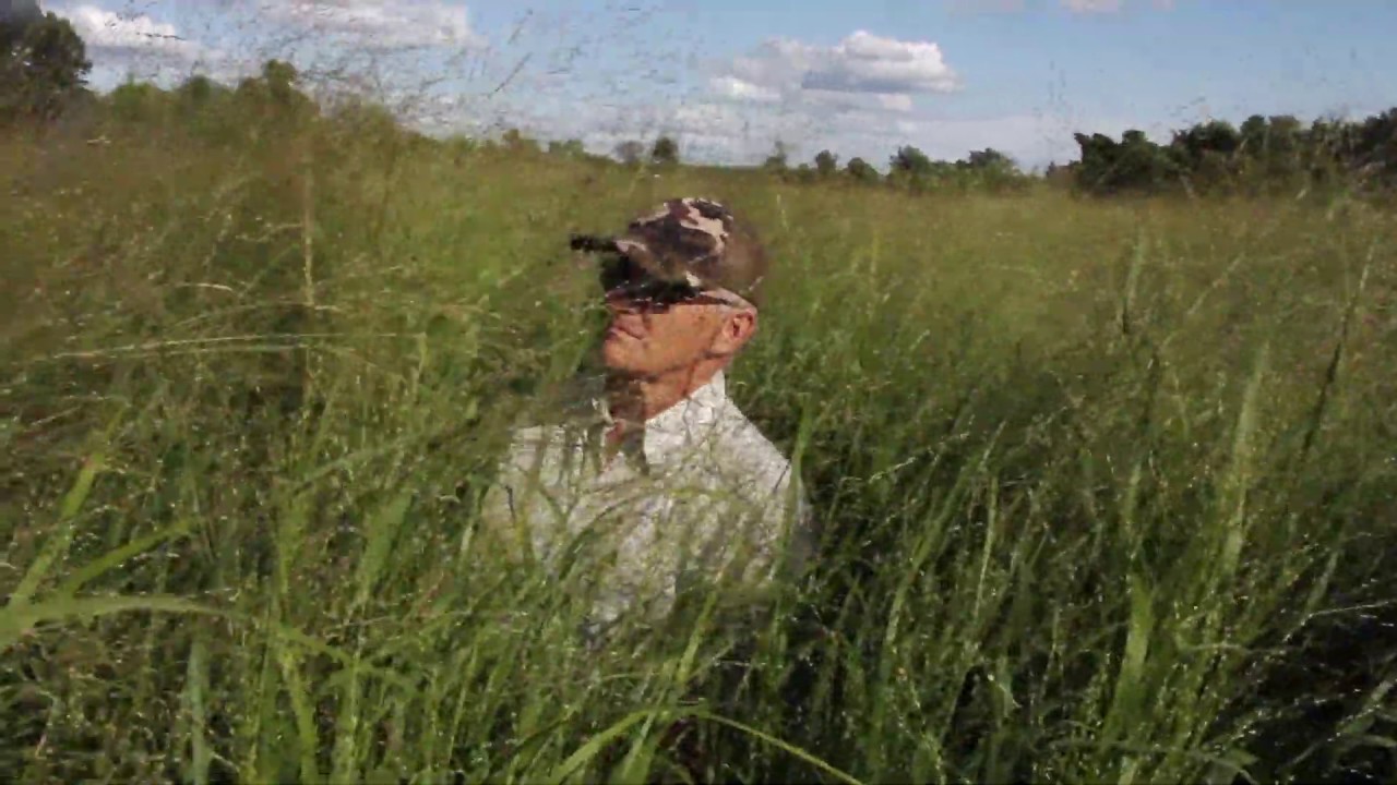 RC Big Rock Switchgrass Field Visit in Eastern Canada - YouTube
