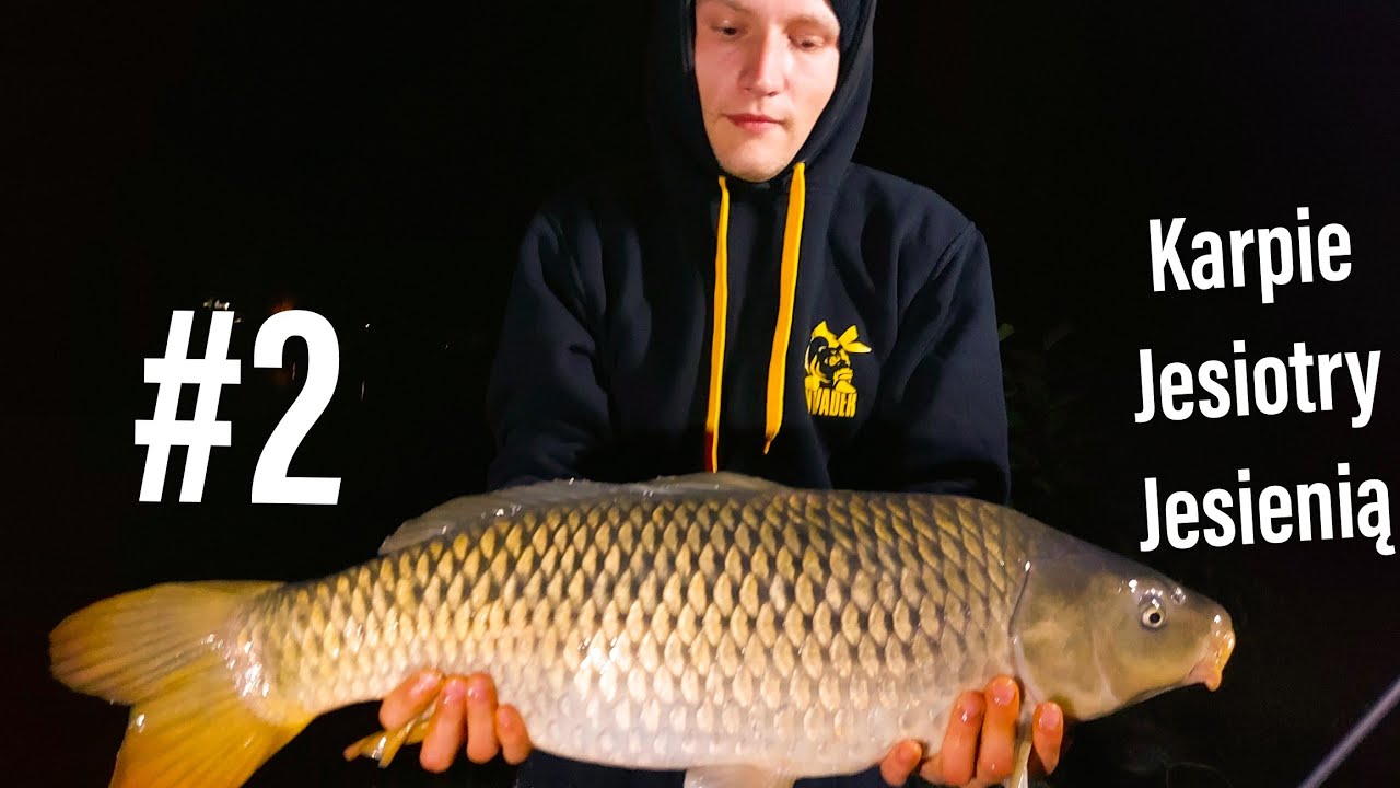 #2|TeamCarpGostyń- Karpie Jesiotry Jesienią |Wędkarstwo Karpiowe - YouTube
