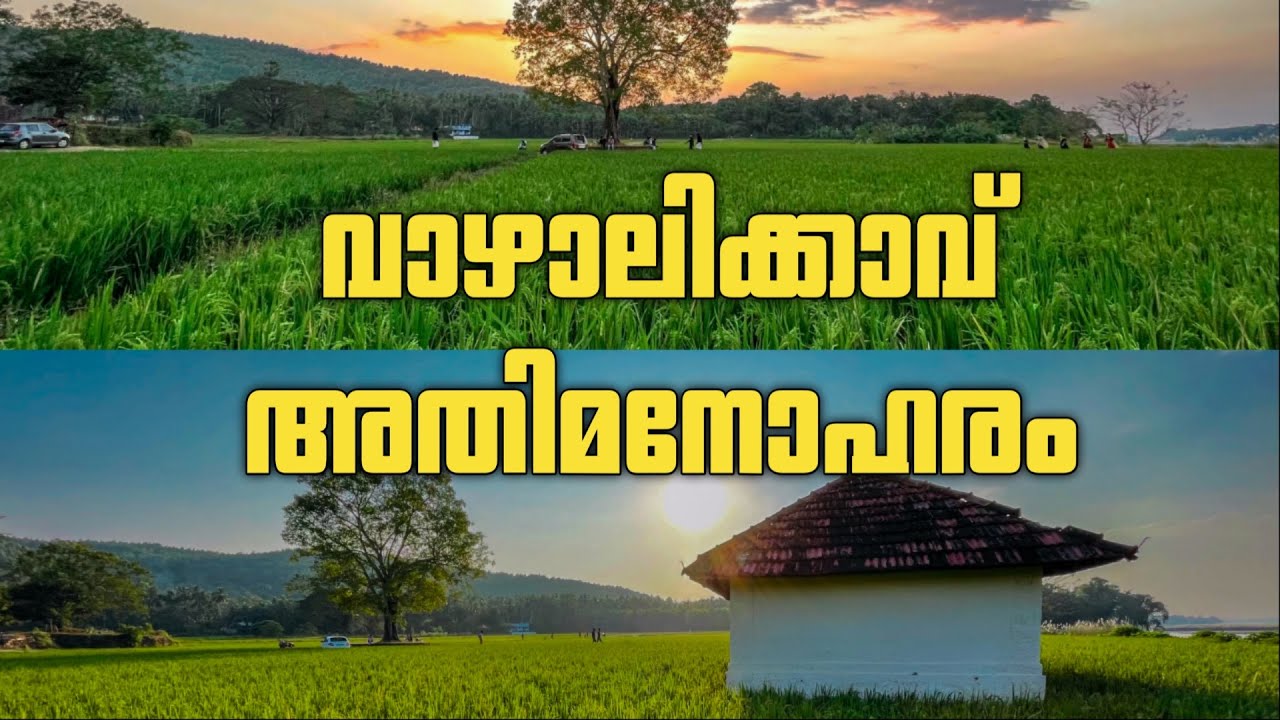 VAZHALIKKAVU TEMPLE | OTTAPAALAM | PALAKKAD - YouTube