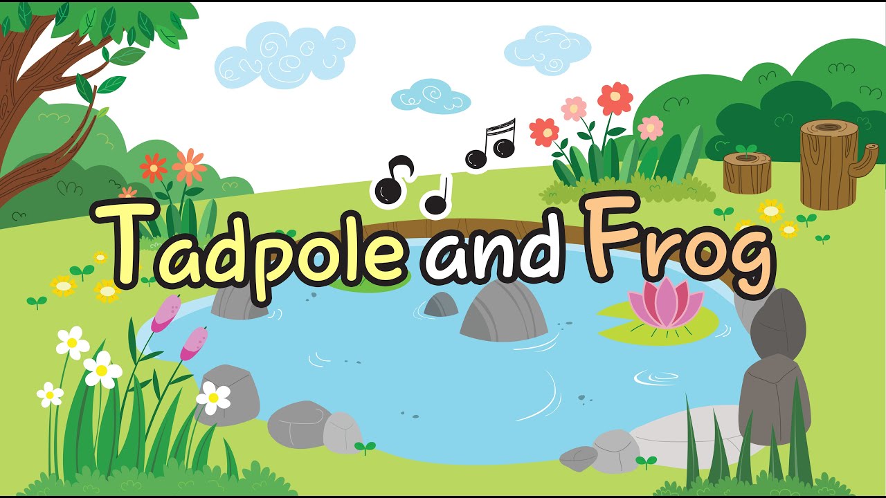 Tadpole and Frog | Tadpole Song | English Kids Songs | COMICOMI - YouTube