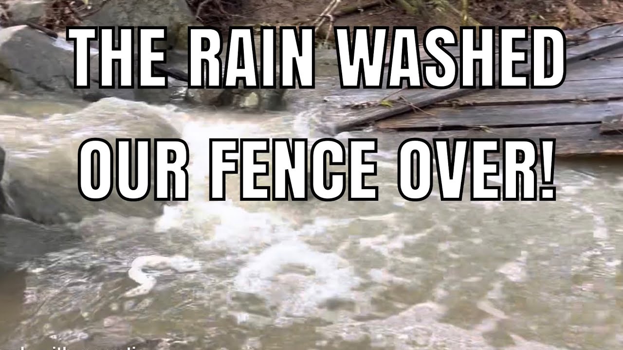 It was a gully-washer! - YouTube