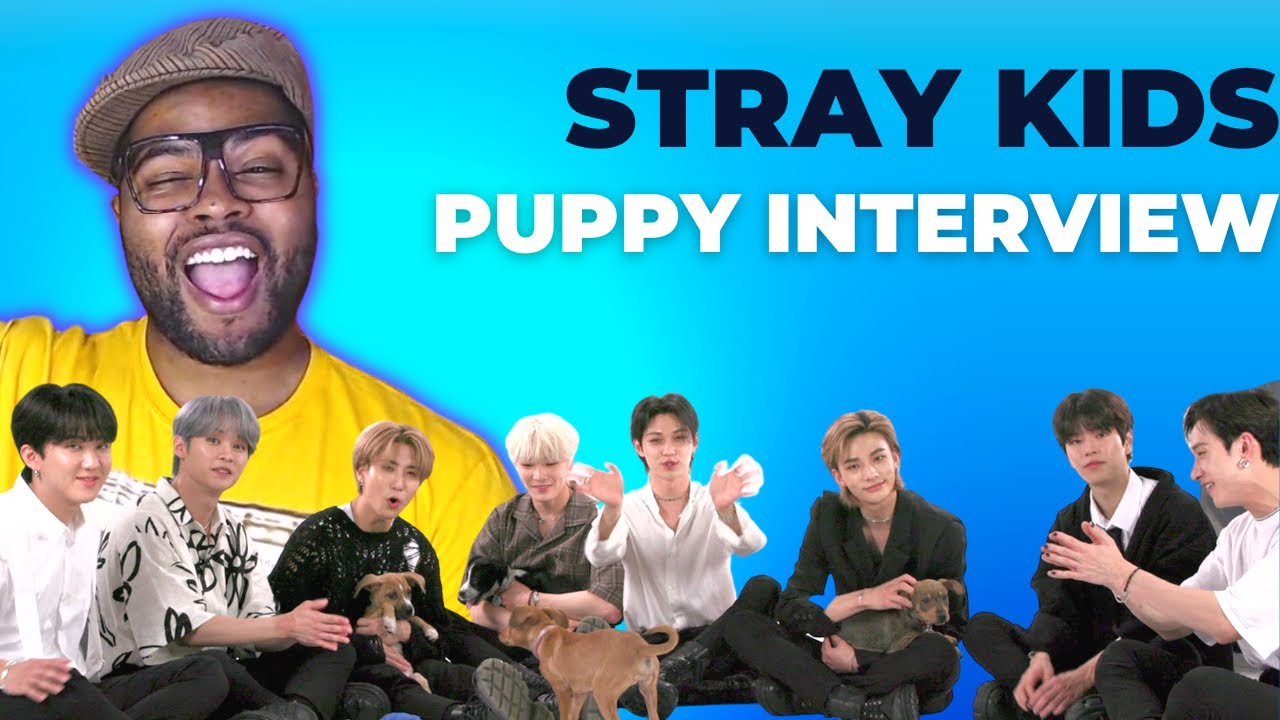 Too Adorable 🥹 | Stray Kids’ Puppy Interview with Buzzfeed | REACTION ...