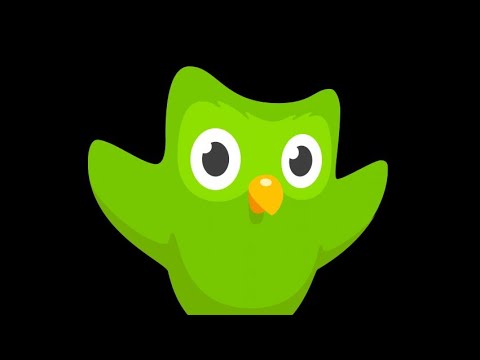 The Most Common Duolingo Mistakes and How to Avoid Them • How Duolingo ...