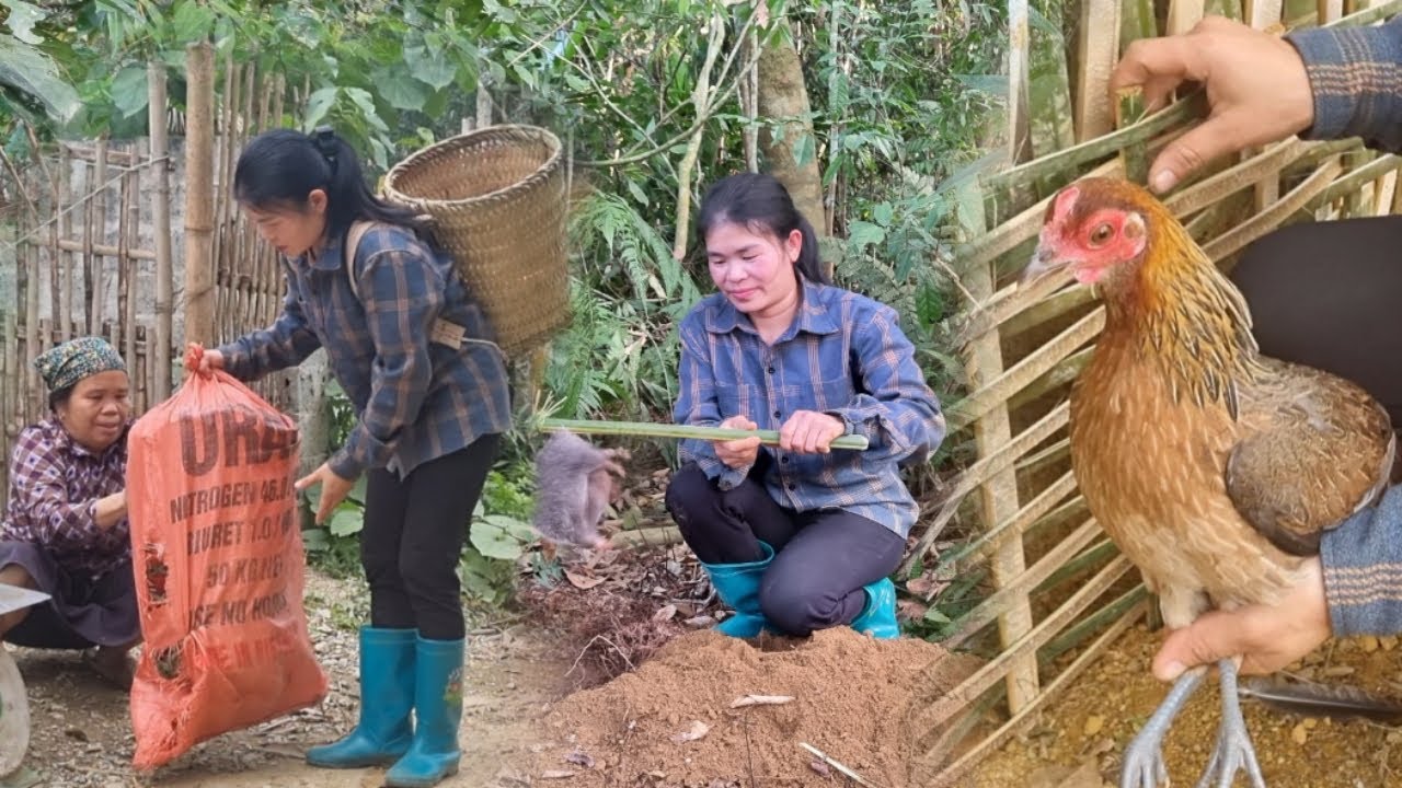 My lucky trip to the forest: getting dong leaves & catching bamboo ...