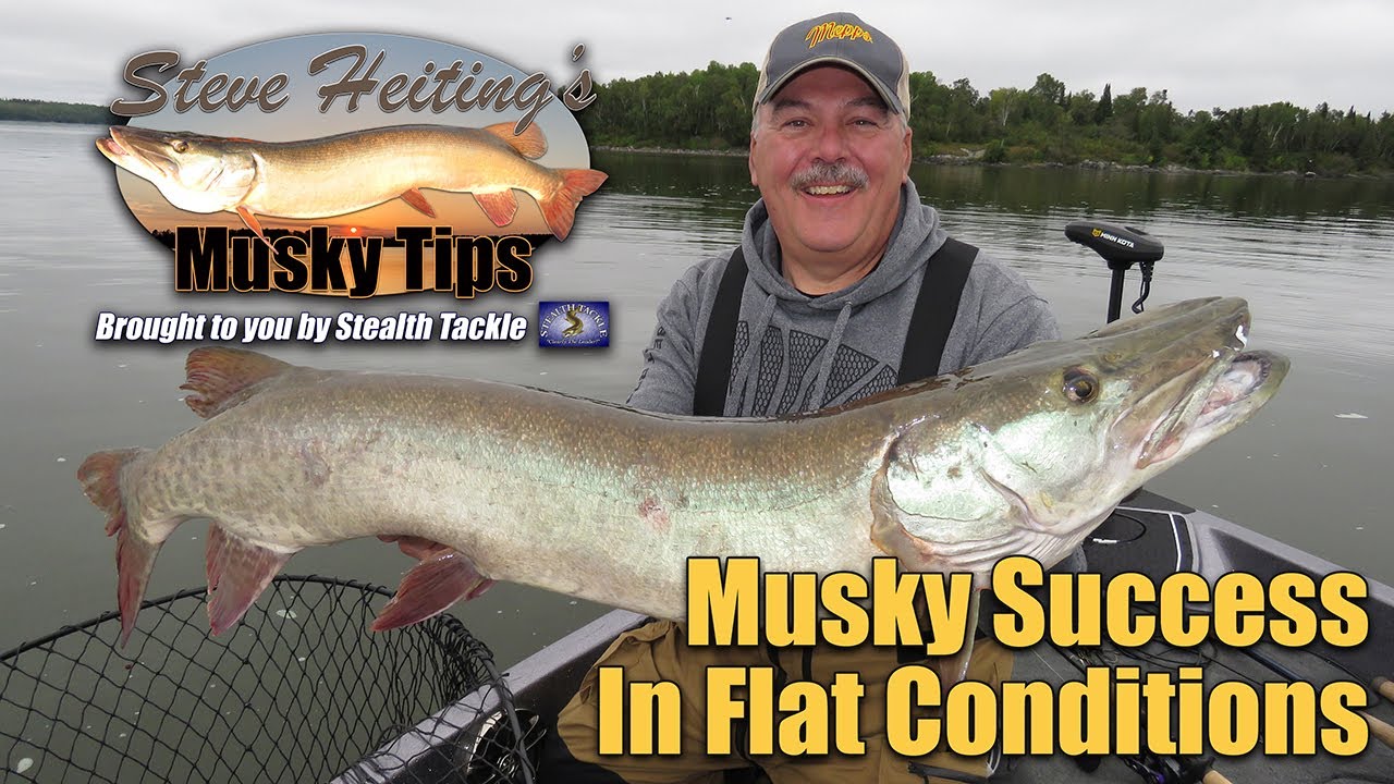 Musky Success In Flat Conditions - YouTube