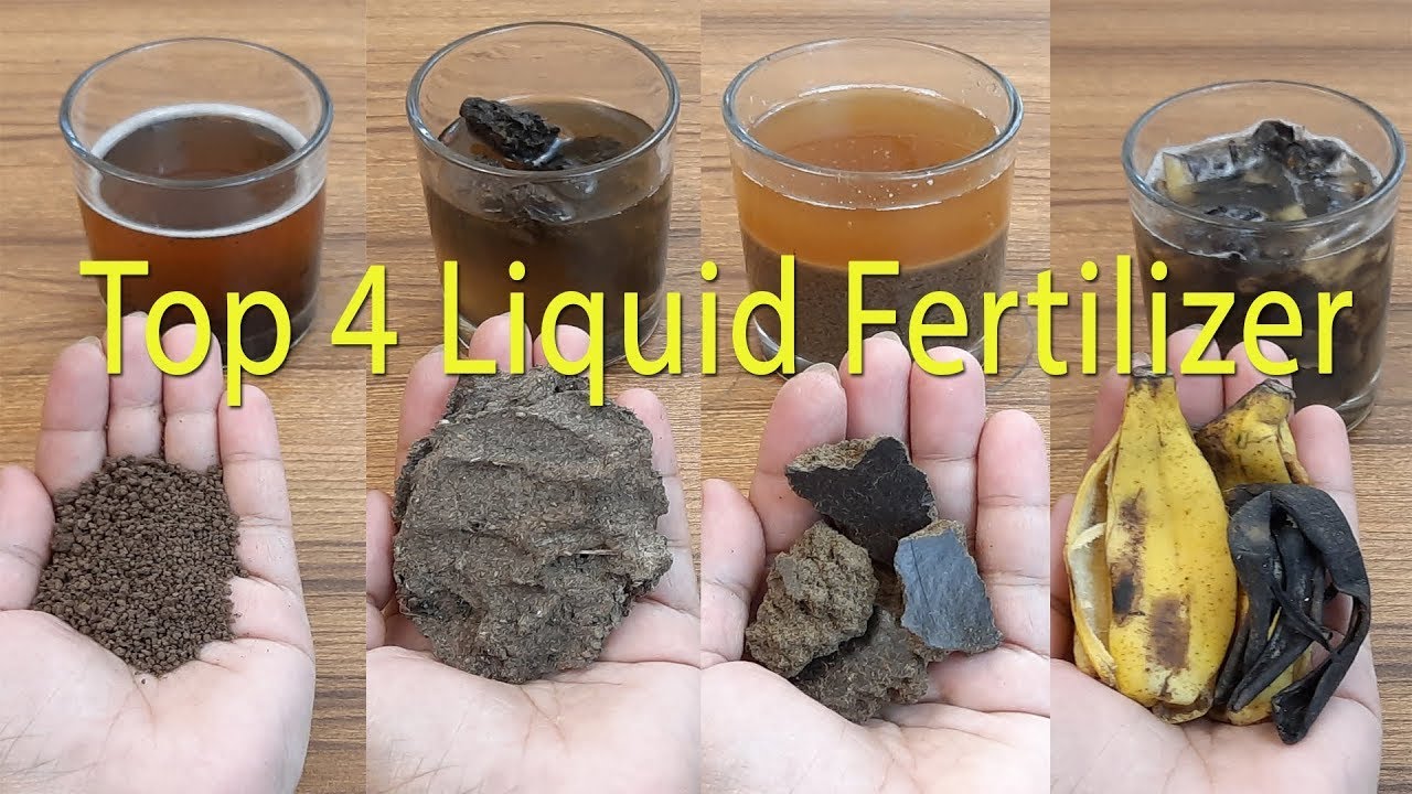 Top 8 Liquid Fertilizer for your Plants#15(Liquid Fertilizer) - YouTube