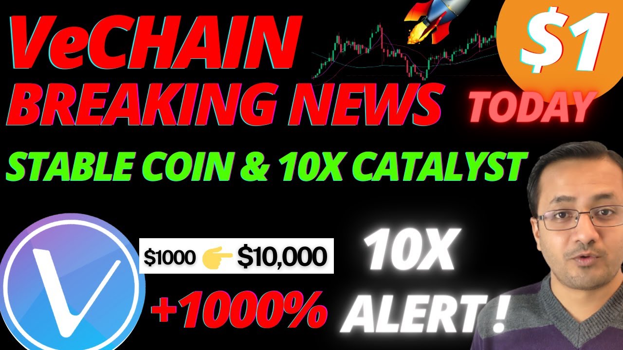 VECHAIN (VET) TOKEN HOLDERS 10X NEWS TODAY! STABLE COIN, CATALYSTS & VeCHAIN TOKEN UPDATE ...