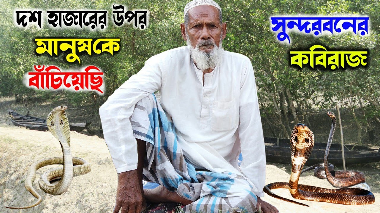 কেউটে নয় কালাচ সাপের কামড়ে বেশি সমস্যা হয় | sundarban snake | Sundarbans Snake Bite | snake ...