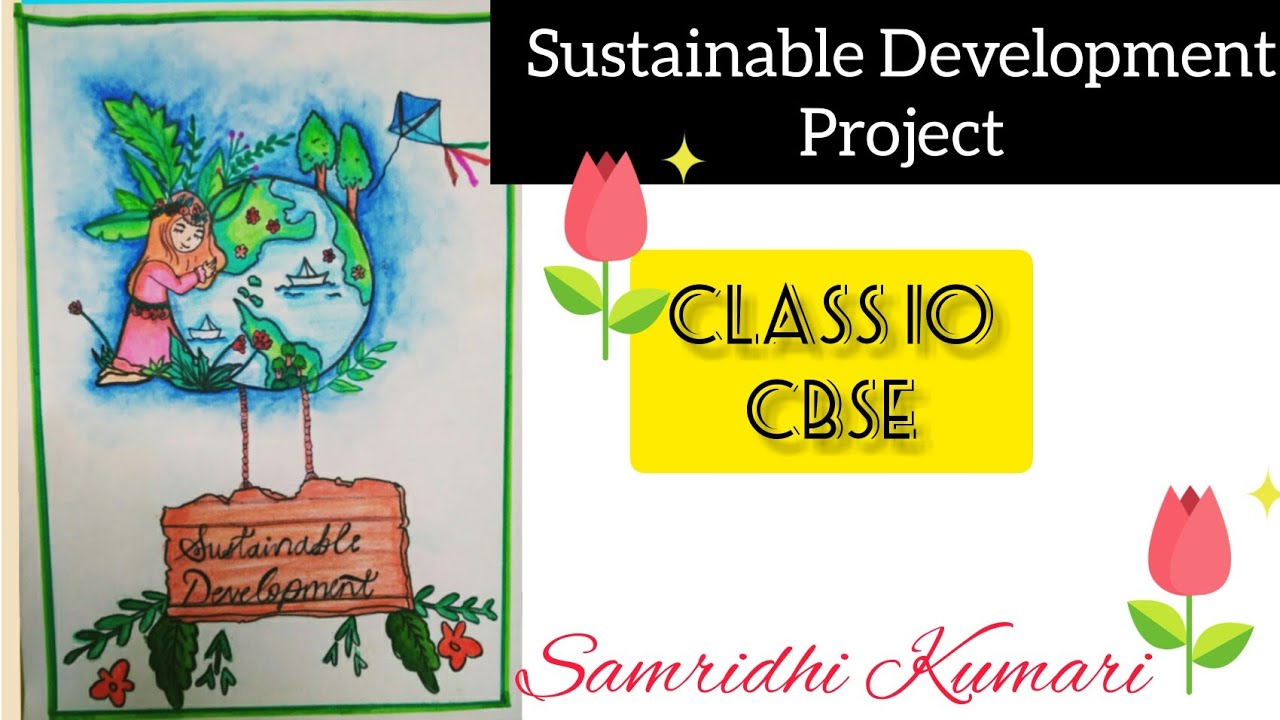 class 10 Sustainable Development project||Social science|| sustainable ...