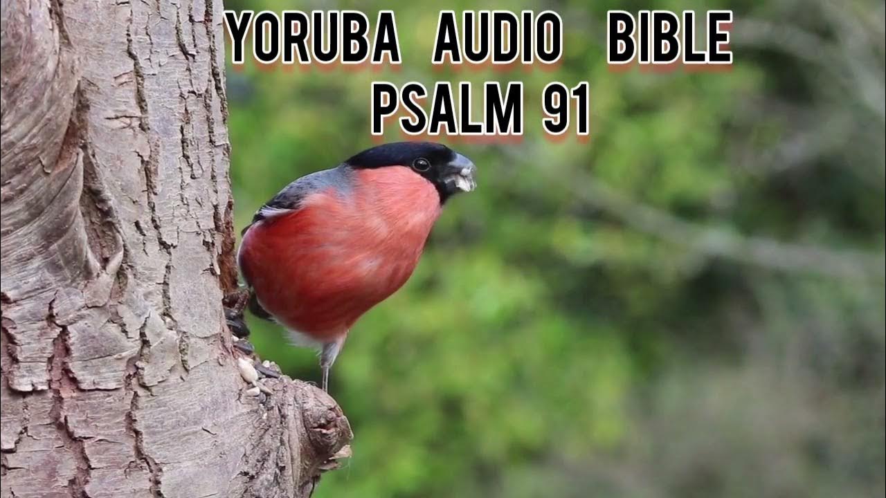 PSALM 91 YORUBA AUDIO BIBLE ORIN DAFIDI 91 yorubabible psalm psalm-91-yoruba-audio-bible-orin-dafidi-91-yorubabible-psalm