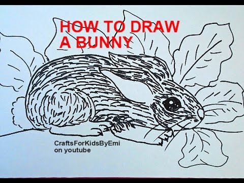 How to DRAW A BUNNY RABBIT, drawing lessons for kids by ...
