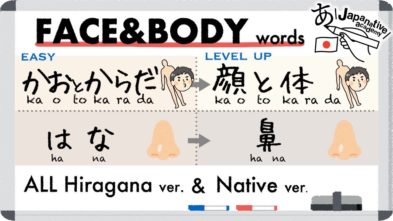 【FACE＆BODY】Face and body words in Japanese. Learn Japanese!! - YouTube
