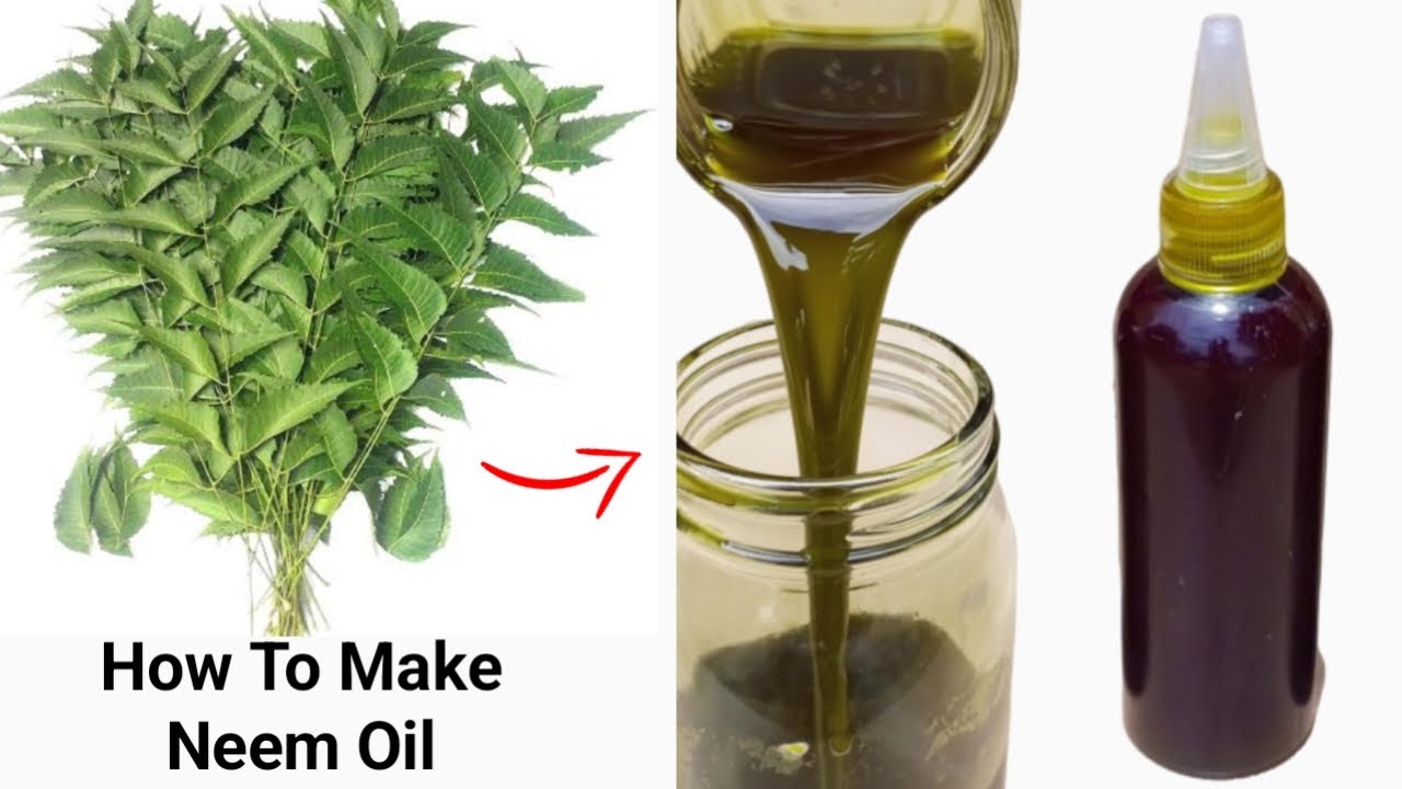 How To Make Neem Oil