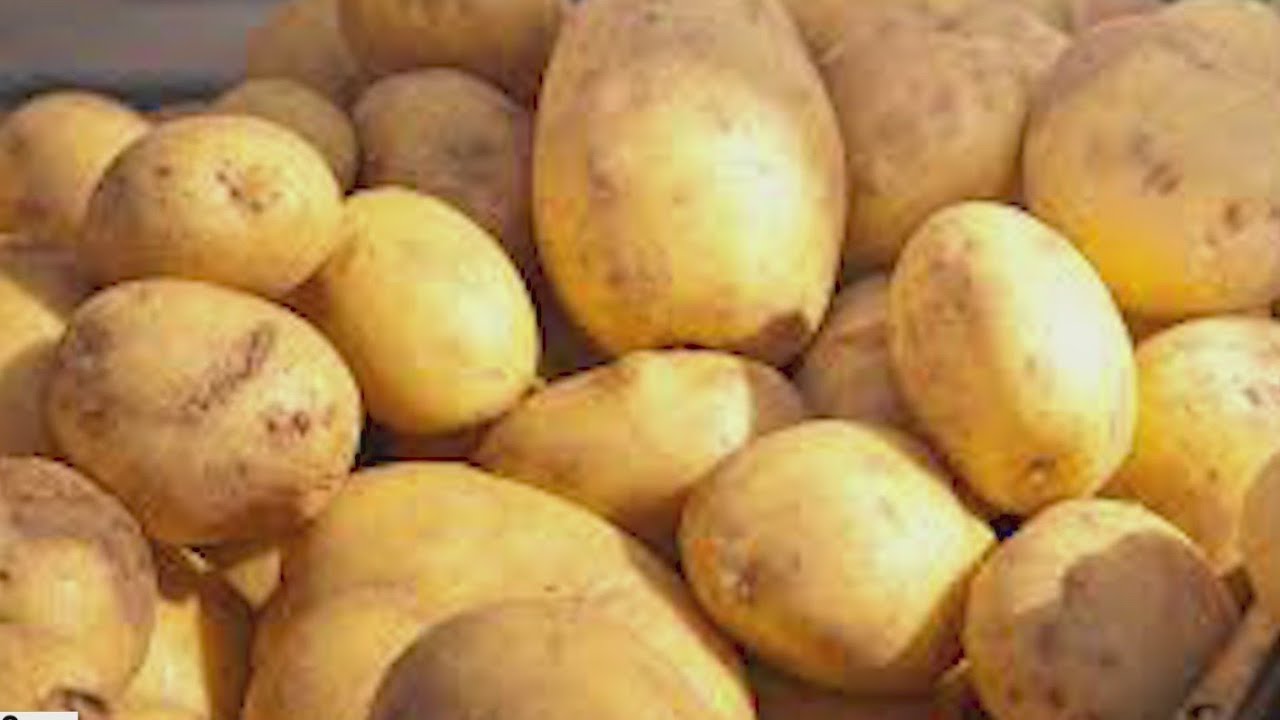 9@9: Take a stroll on a 'Potato Trail' - YouTube