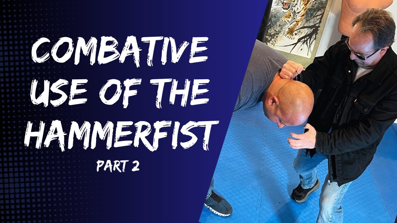 Personal Survival Tactics: Combative Use Of The Hammerfist (Part 2 ...