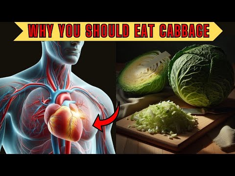 Benefits of Cabbage | Health Benefits of Cabbage | Cabbage Health ...