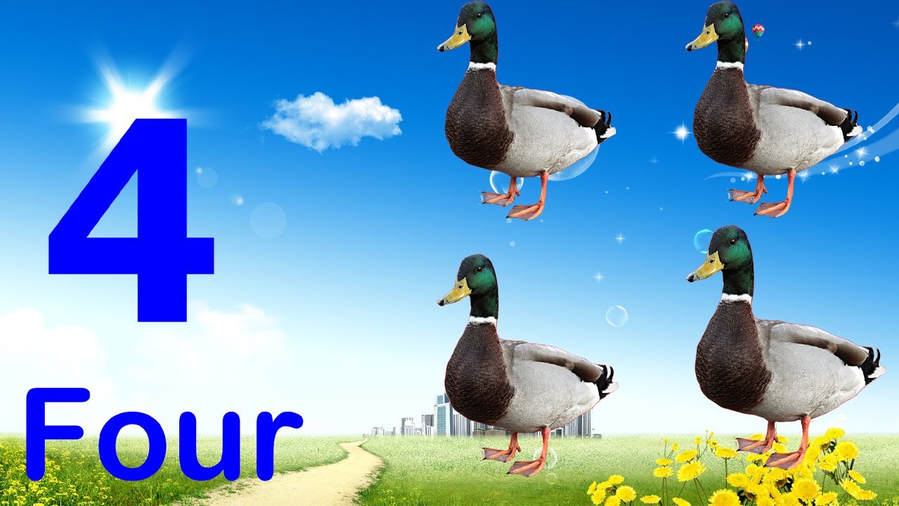 12345678910 | Learn Numbers | Count Numbers With Twinkle Twinkle Song ...