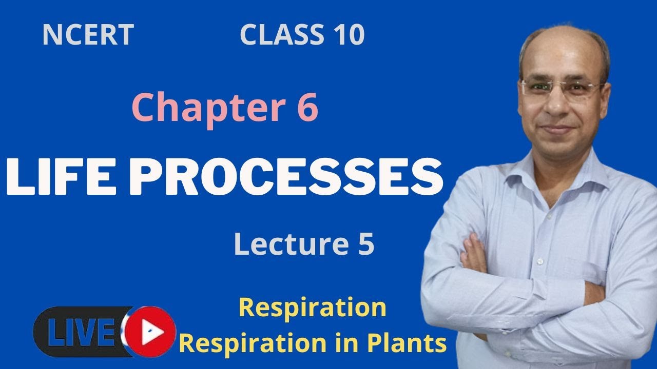 Class 10 CBSE/NCERT Chapter 6 Life Processes LECTURE 5 Respiration ...